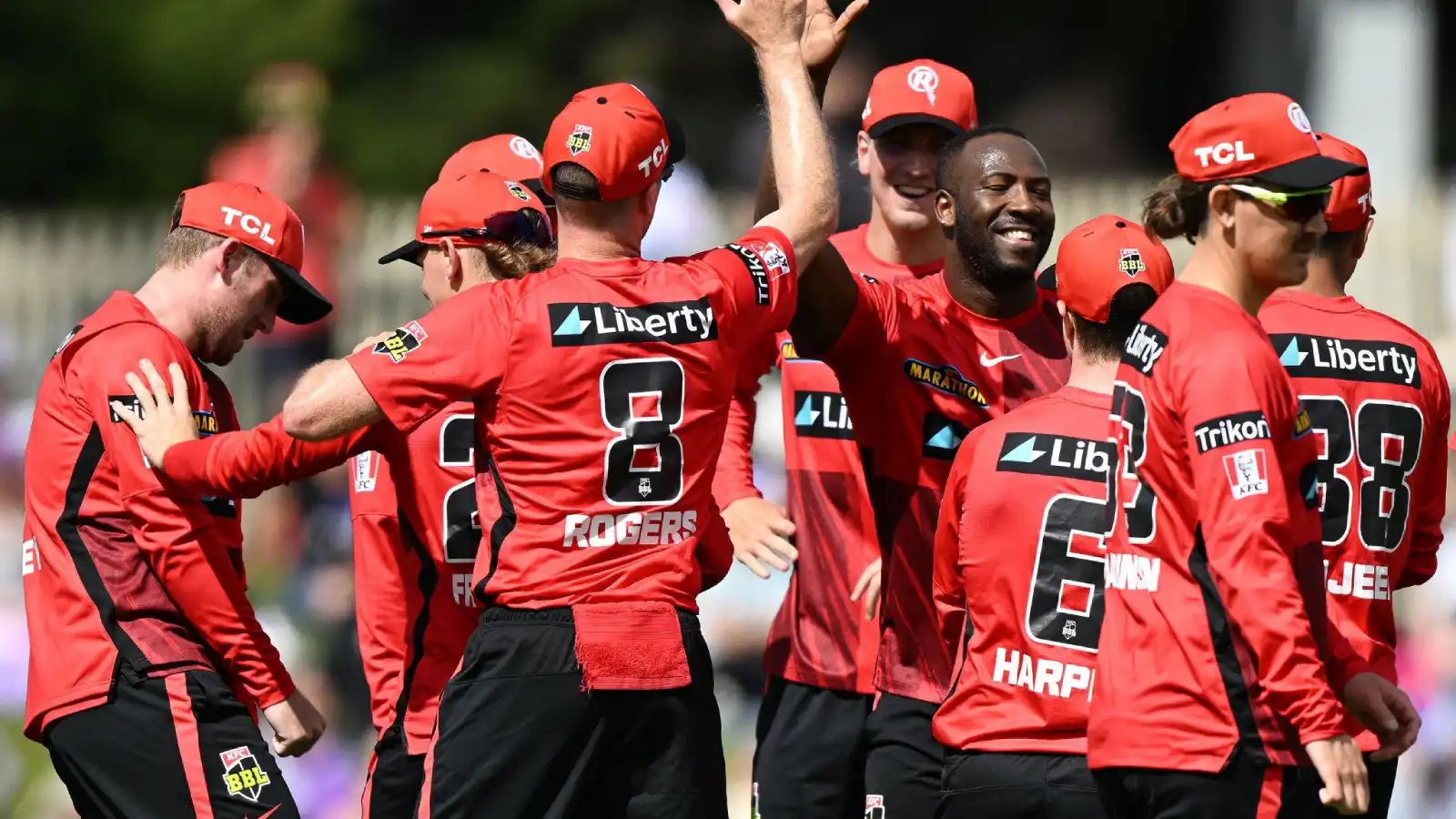 BBL 2023-24: Melbourne Renegades Complete Squad, Full Players List and ...